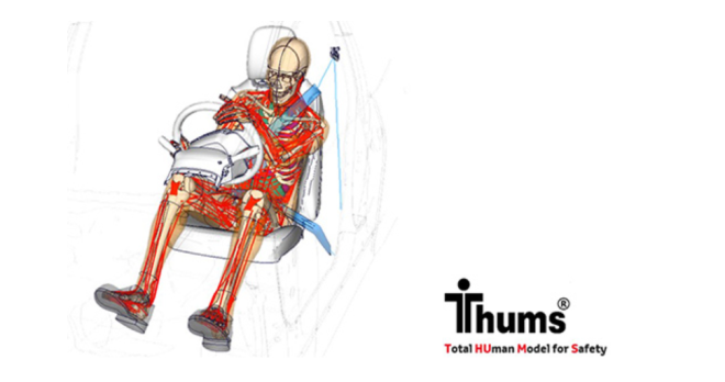 トヨタ自動車株式会社による THUMS®（Total Human Model for Safety）無償提供開始のお知らせ ｜ ニュース ...